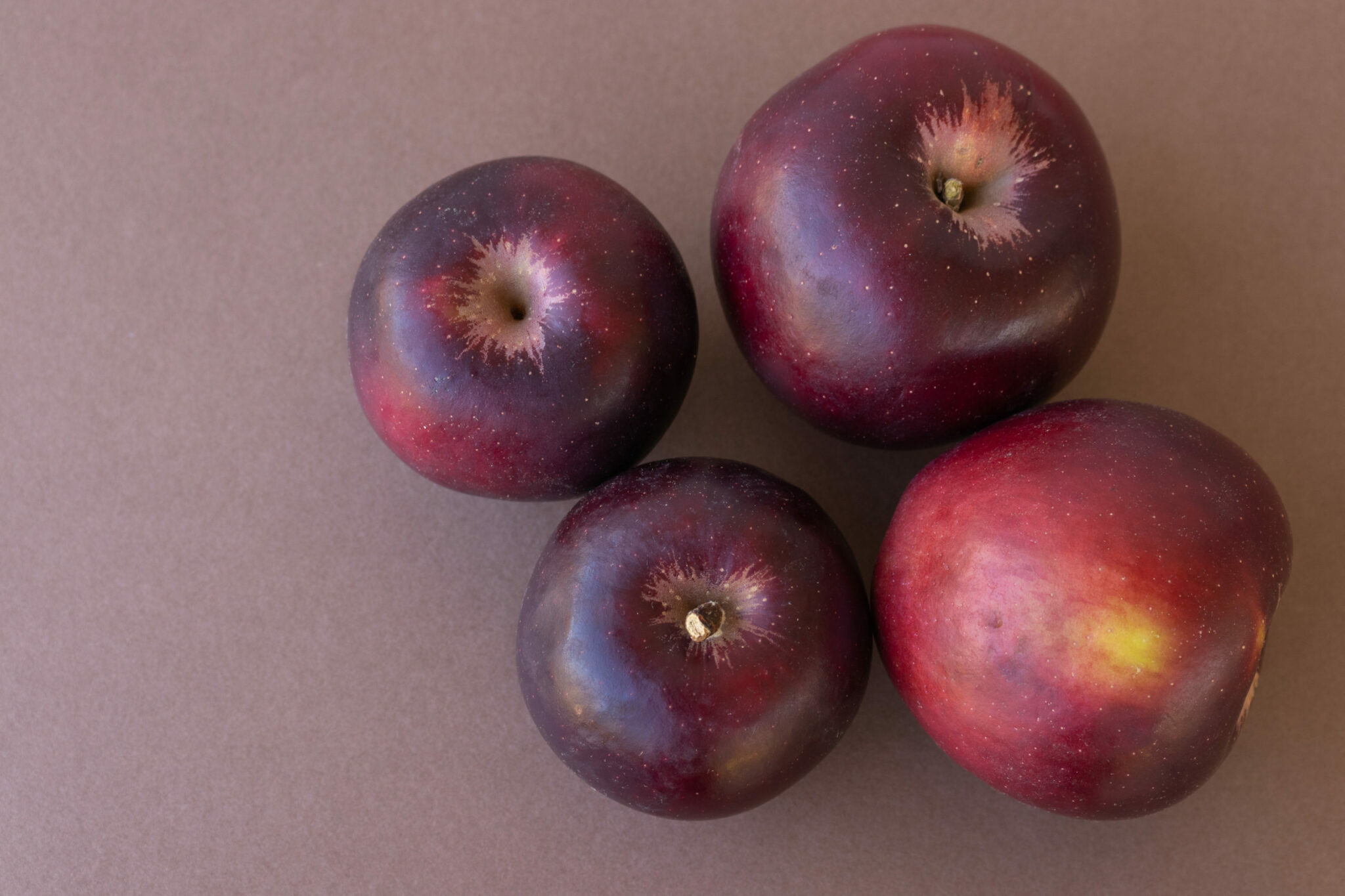 Arkansas Black Apple – Chestnut Hill Nursery