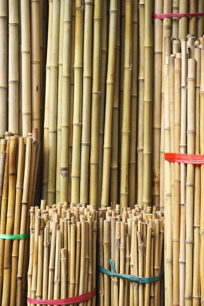 Bamboo Stakes – Chestnut Hill Nursery