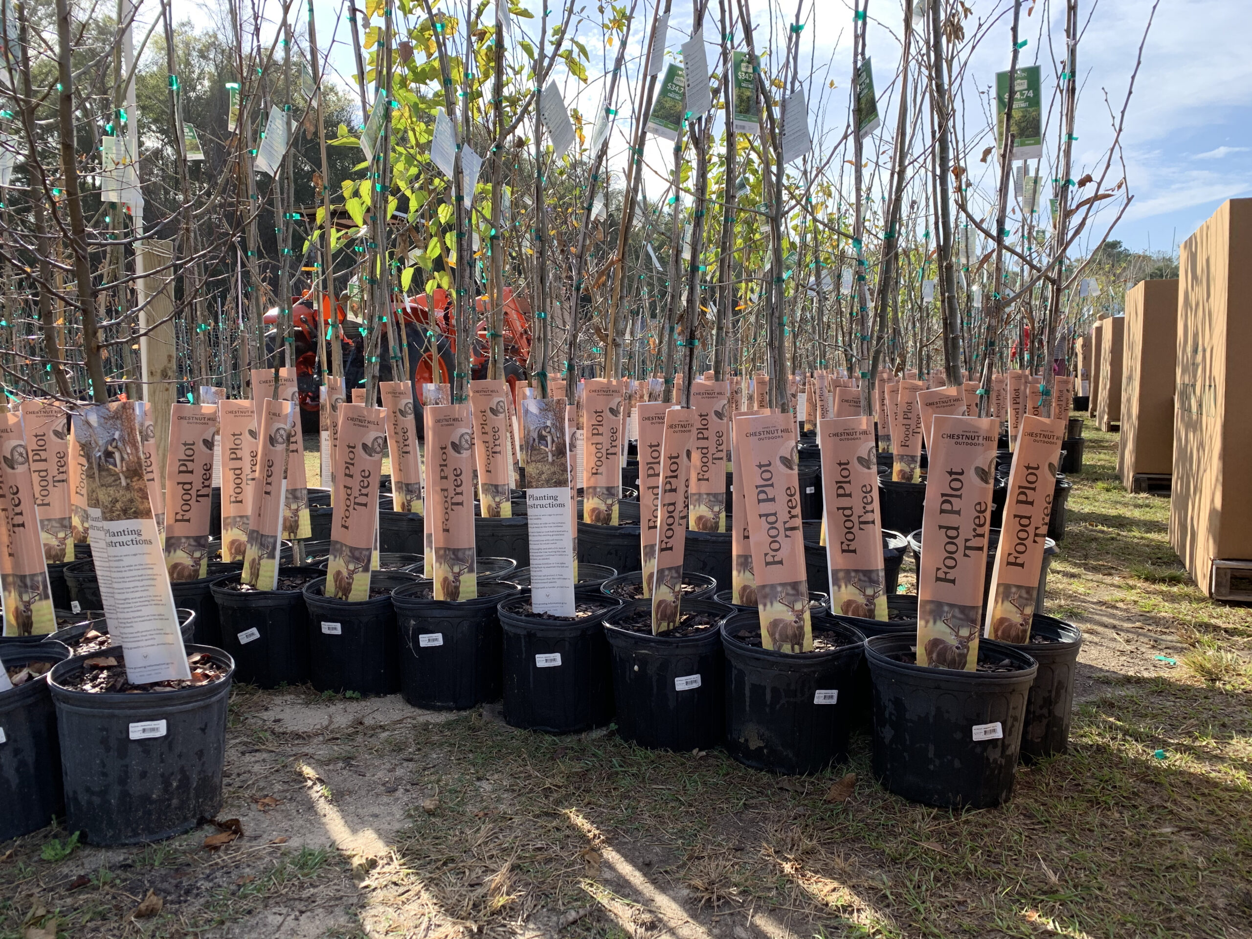 News & Views from the Hill – Chestnut Hill Nursery